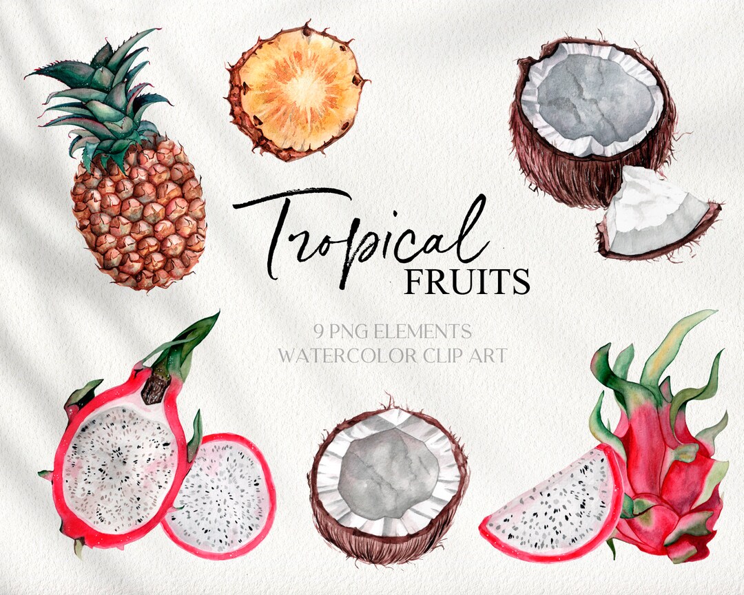 Watercolor Tropical Fruit Clipart. Summer Fresh Pineapple, Coconut ...