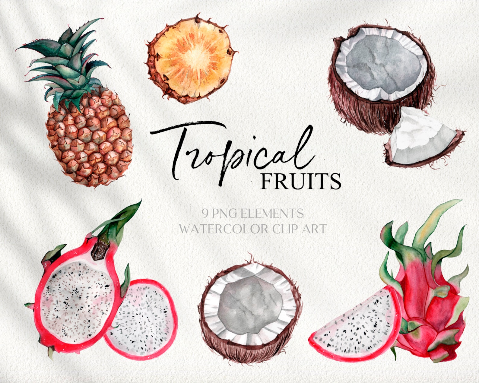 Watercolor Tropical Fruit Clipart. Summer Fresh Pineapple - Etsy