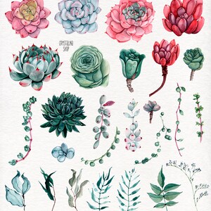 Watercolor Succulents Flower Clipart. Wedding Design Succulent Digital ...