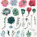 Watercolor Succulents Flower Clipart. Wedding Design Succulent Digital ...
