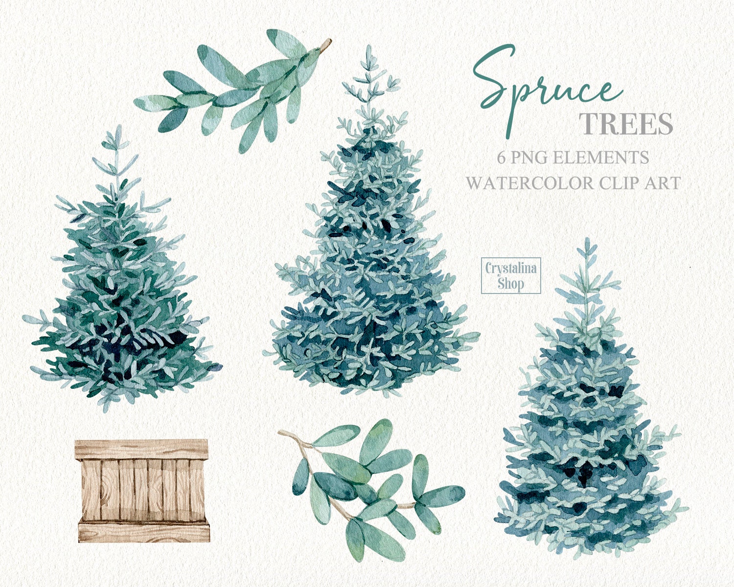 Watercolor Spruce Tree Clipart for Scrapbooking Winter Fir - Etsy