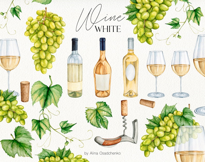 Watercolor White Wine Clipart Romantic Glass of White Wine and - Etsy