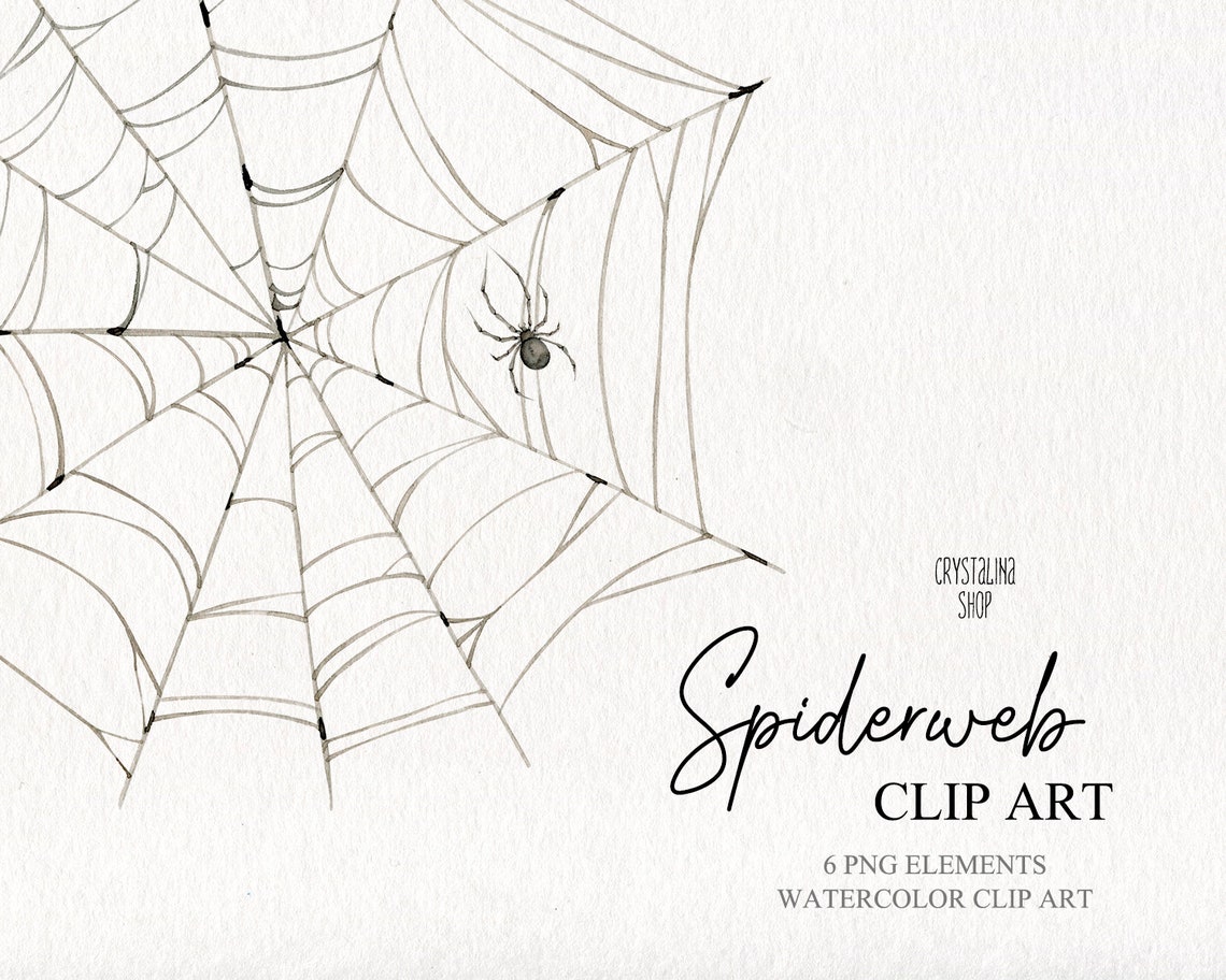 Watercolor Realistic Spiderweb Clipart Silhouette Spooky - Etsy