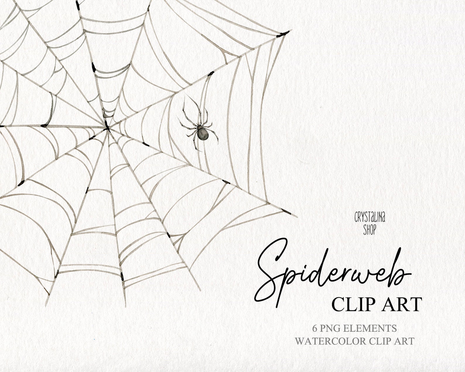 Watercolor Realistic Spiderweb Clipart Silhouette Spooky - Etsy