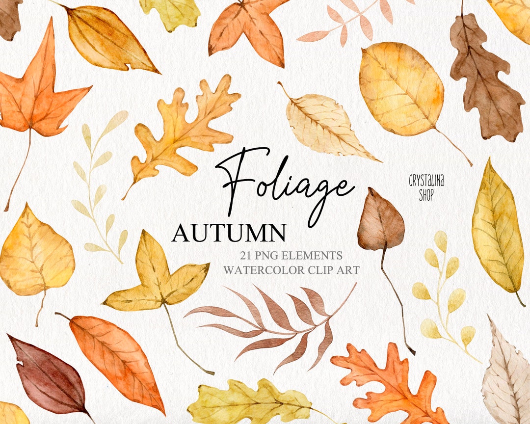 Watercolor Autumn Foliage Clipart Watercolor Fall Leaves Decoration DIY ...