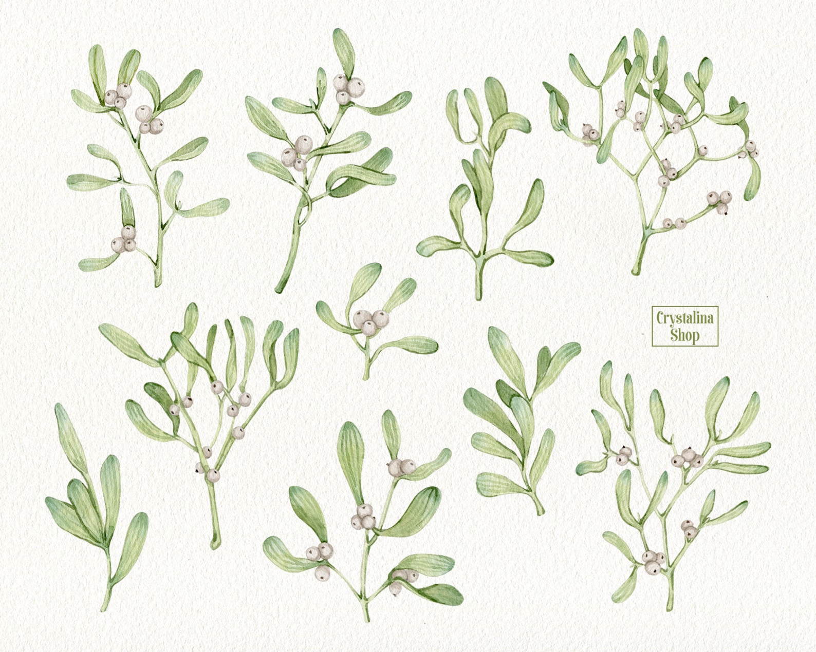Watercolor Mistletoe Clipart for Scrapbooking Winter Mistletoe - Etsy