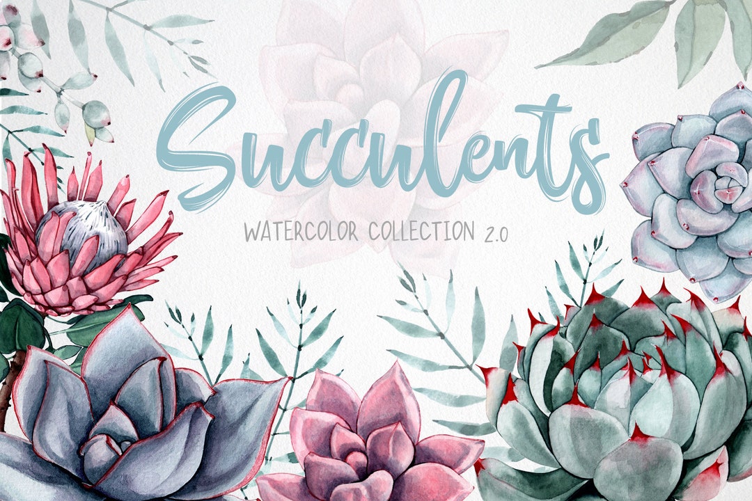 Watercolor Succulents Flower Clipart. Wedding Design Succulent Digital ...