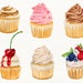 Watercolor Cupcakes Clipart Birthday Cupcakes Clipart Hand Drawn ...