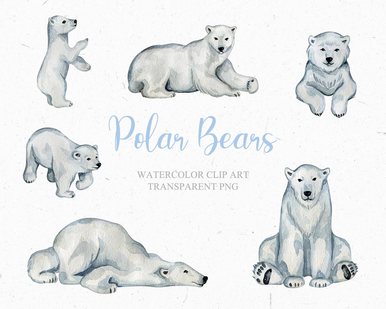 White Polar Bears Watercolor Illustrations Clip Art. Arctic - Etsy