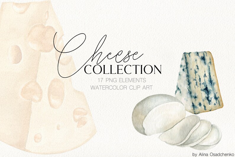 Watercolor Cheese Clipart. Watercolor Cheese for Wine Png - Etsy