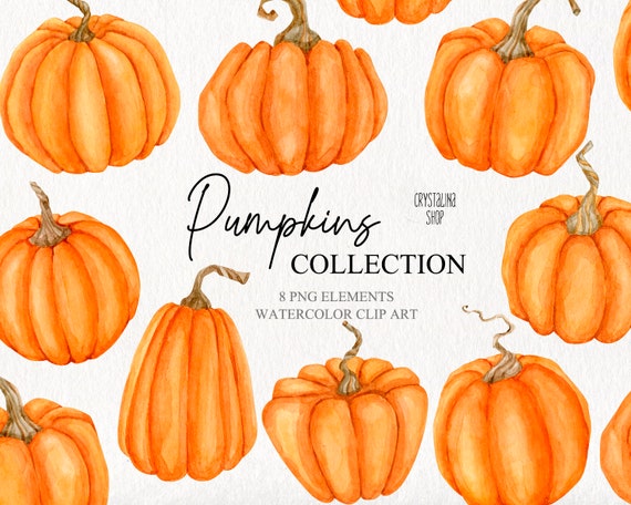 Watercolor Autumn Orange Pumpkins Clipart Fall Clipart - Etsy