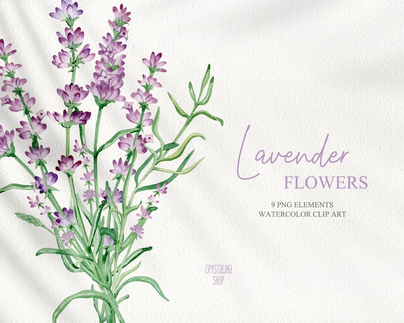 Watercolor Lavender Flowers Clipart Provence Rustic Wedding Set of ...