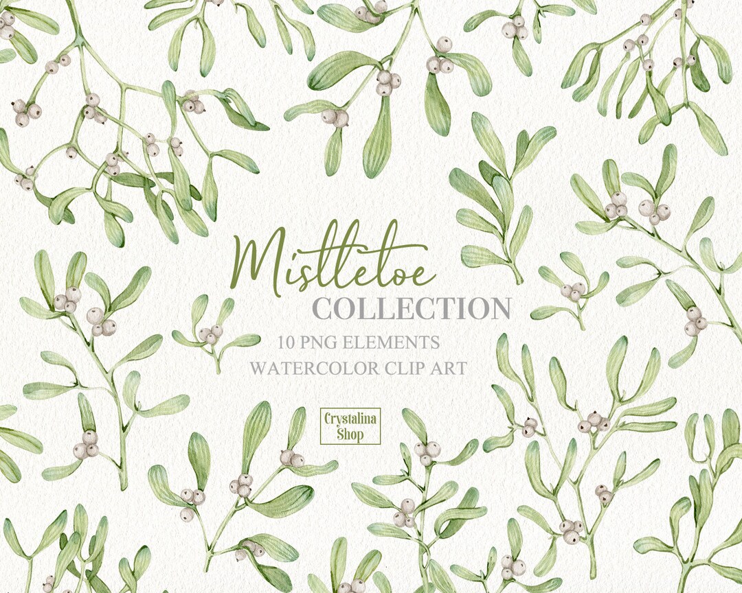 Watercolor Mistletoe Clipart for Scrapbooking Winter Mistletoe Clip Art ...