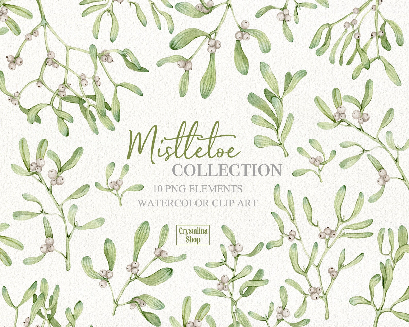 Watercolor Mistletoe Clipart for Scrapbooking Winter Mistletoe - Etsy