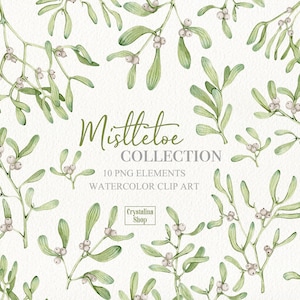 Watercolor Mistletoe Clipart for Scrapbooking Winter Mistletoe Clip Art ...