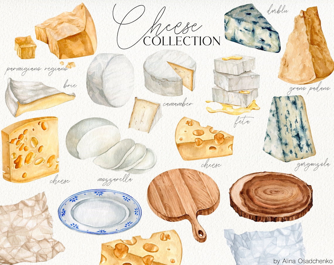 Watercolor Cheese Clipart. Watercolor Cheese for Wine Png - Etsy