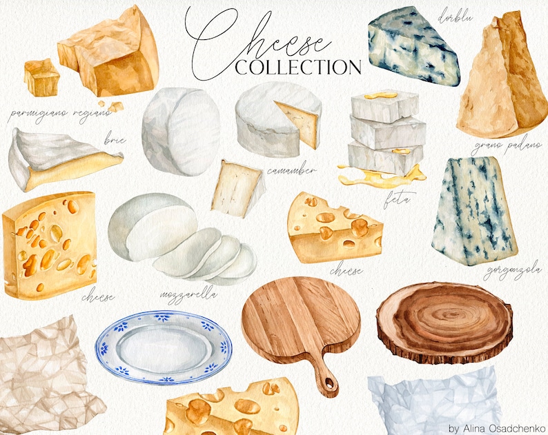 Watercolor Cheese Clipart. Watercolor Cheese for Wine Png - Etsy