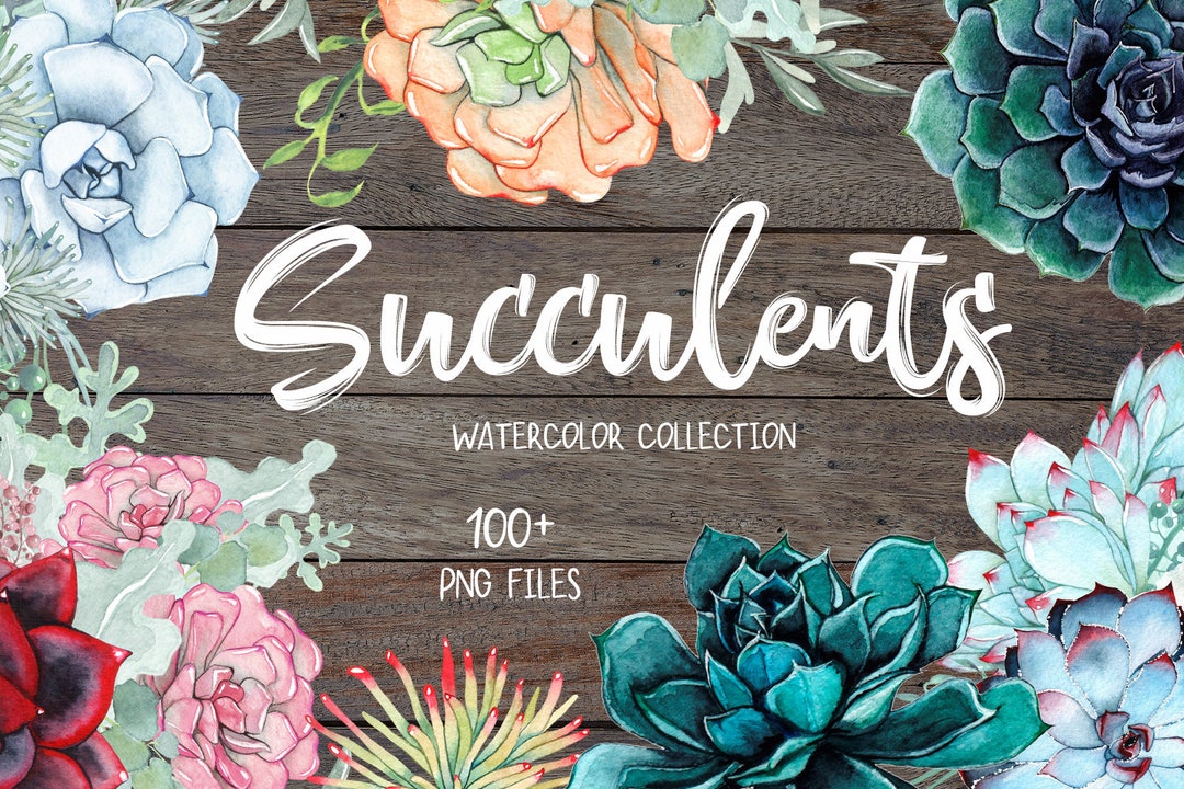 Watercolor Succulents Flower Clipart. Wedding Design Succulent Digital ...