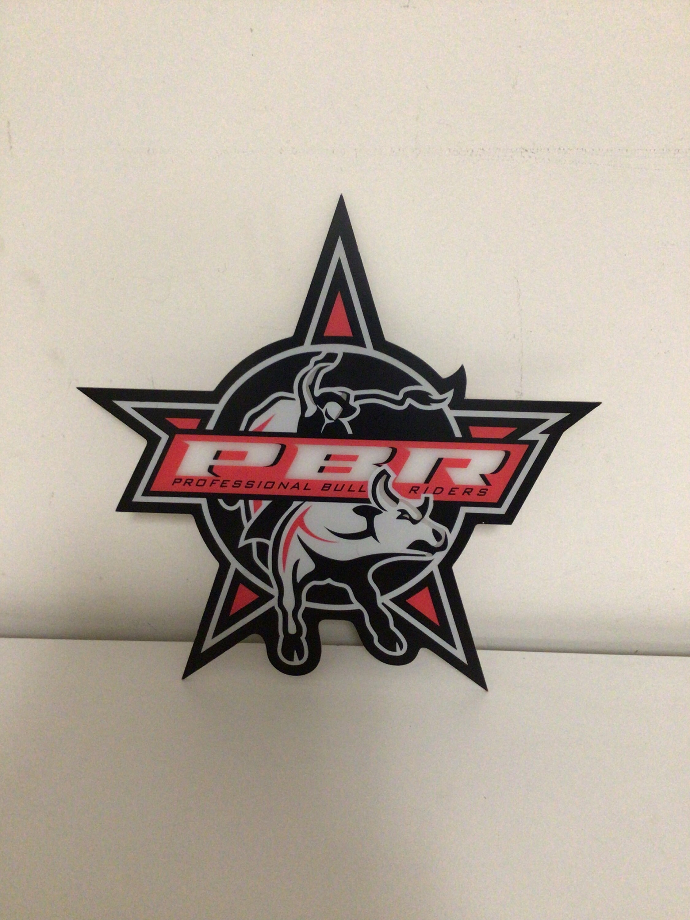 Pbr Bull Riding Logo
