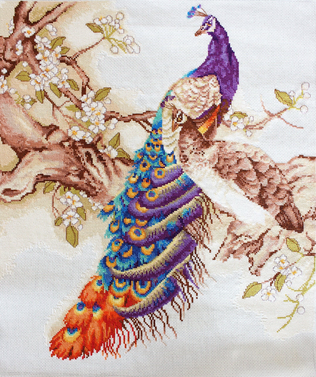 Luca-s / B459 Peacocks / Cross Stitch Kit - Etsy