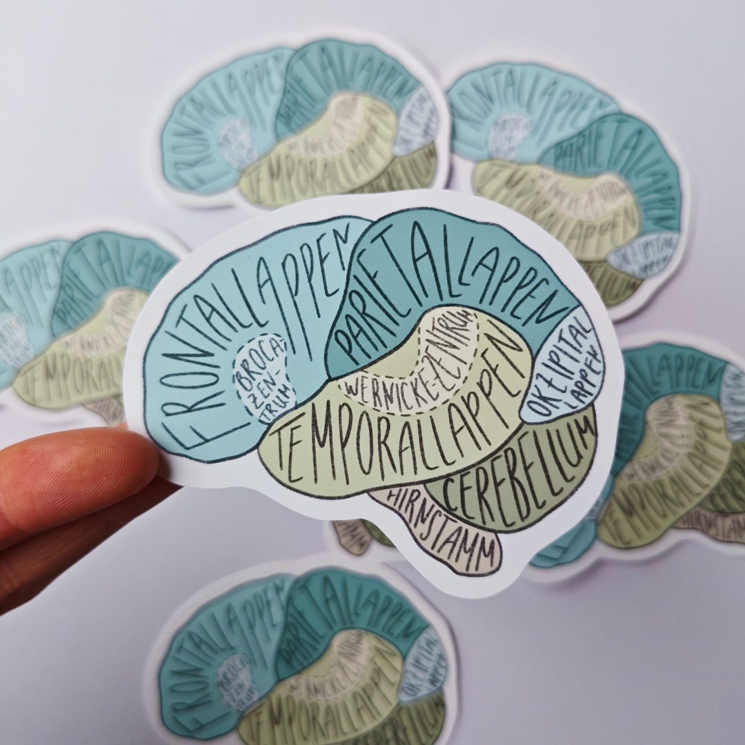 Sticker 'language in the Brain Anatomy' Speech Therapy Speech Therapy ...