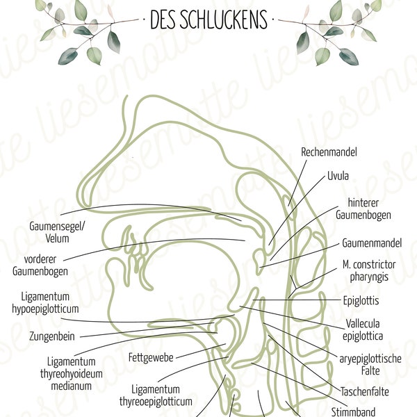 Speech Therapy Swallowing Posters - Etsy