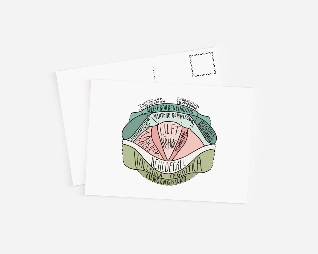 Postcard 'anatomy Larynx 2'; Speech Therapy Speech Therapy Clinical ...