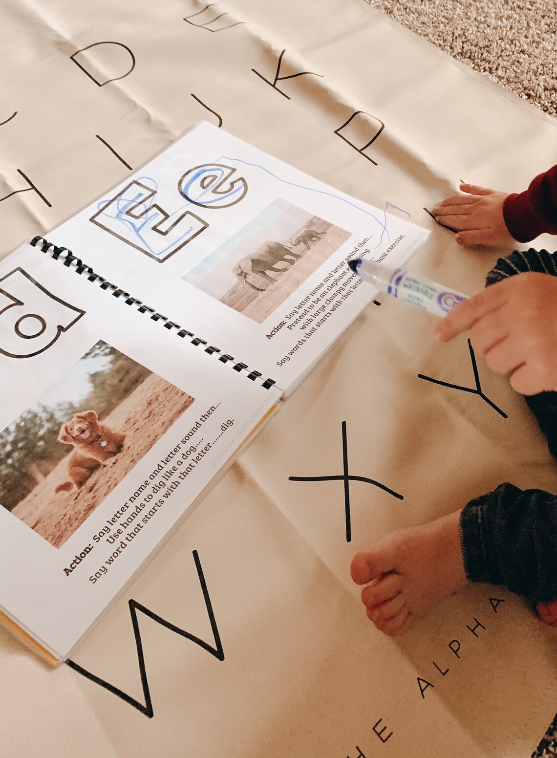 I Can Learn My Abcs- Letter Recognition and Sounds- Learning the ...