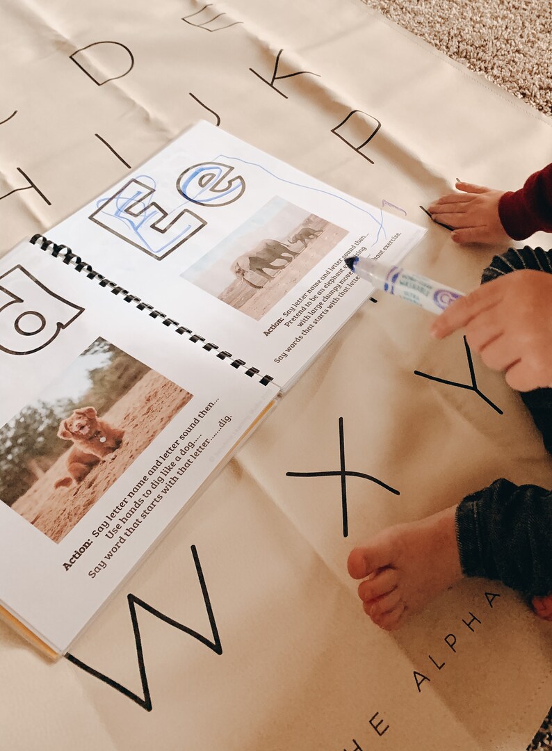 I Can Learn My Abcs- Letter Recognition and Sounds- Learning the ...