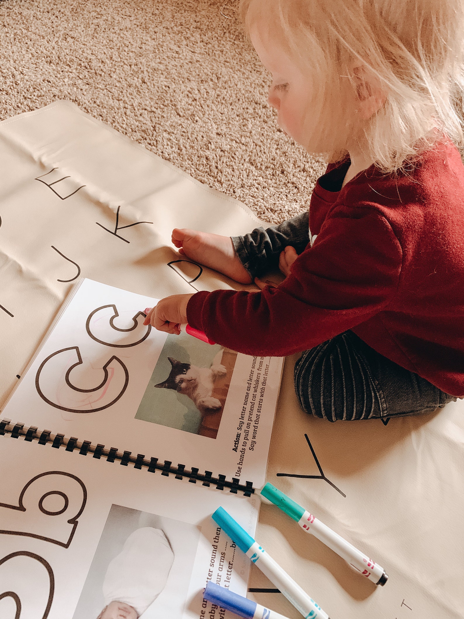 I Can Learn My Abcs Letter Recognition and Sounds Learning - Etsy