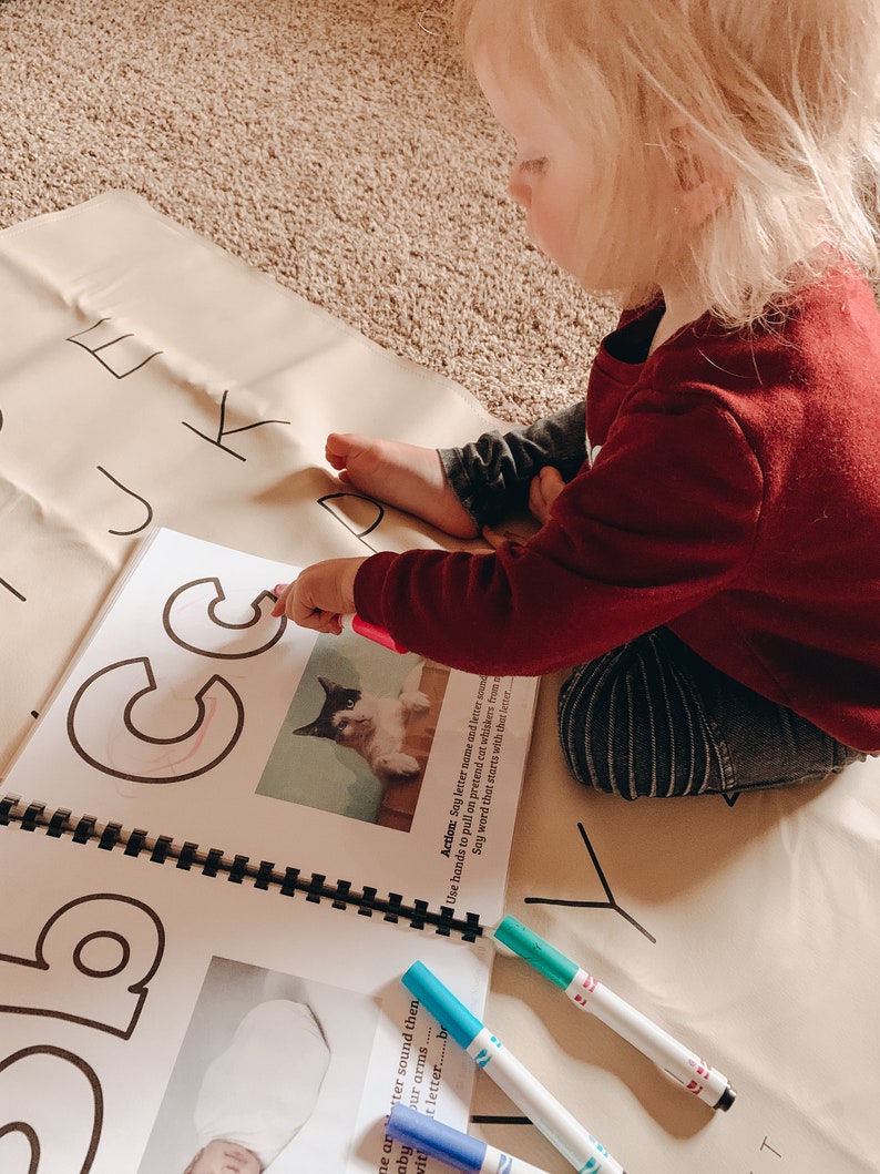 I Can Learn My Abcs- Letter Recognition and Sounds- Learning the ...