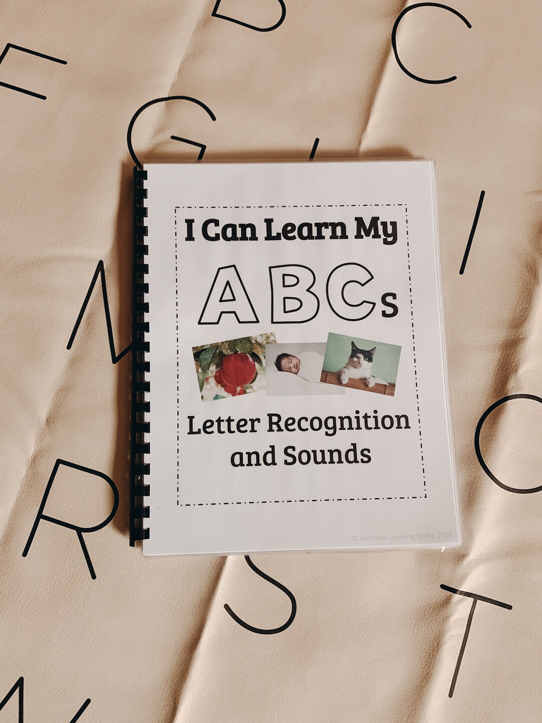I Can Learn My Abcs- Letter Recognition and Sounds- Learning the ...