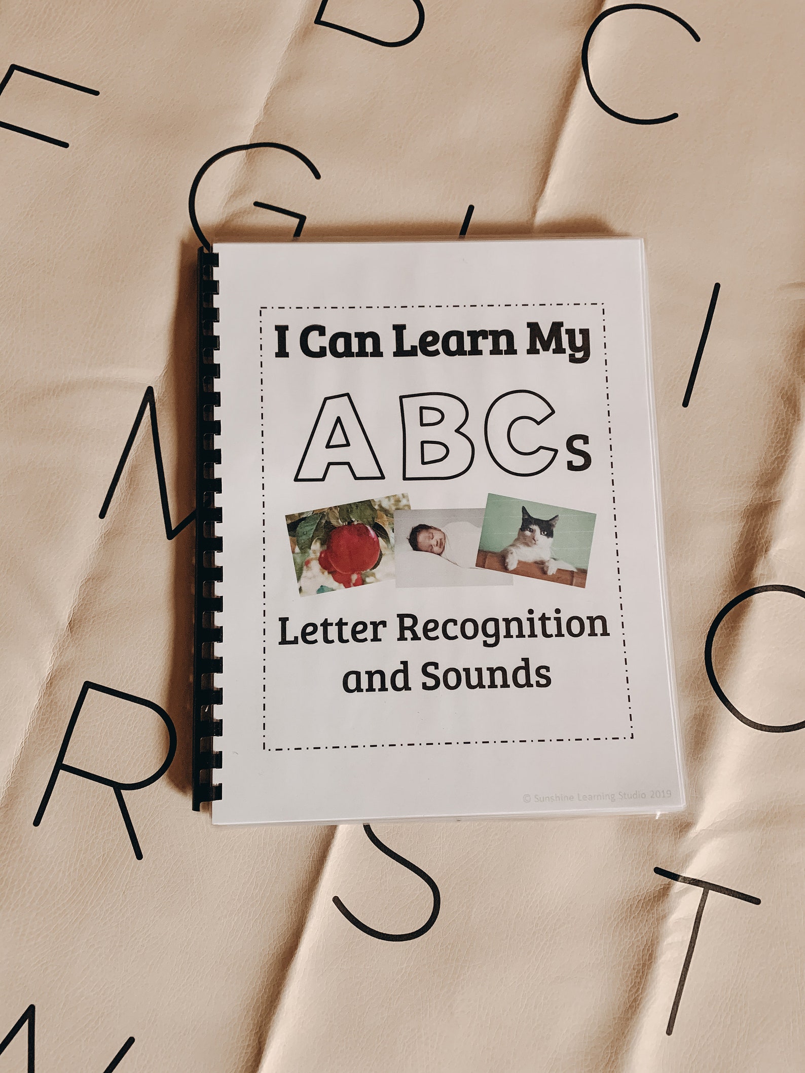 I Can Learn My Abcs- Letter Recognition and Sounds- Learning the ...