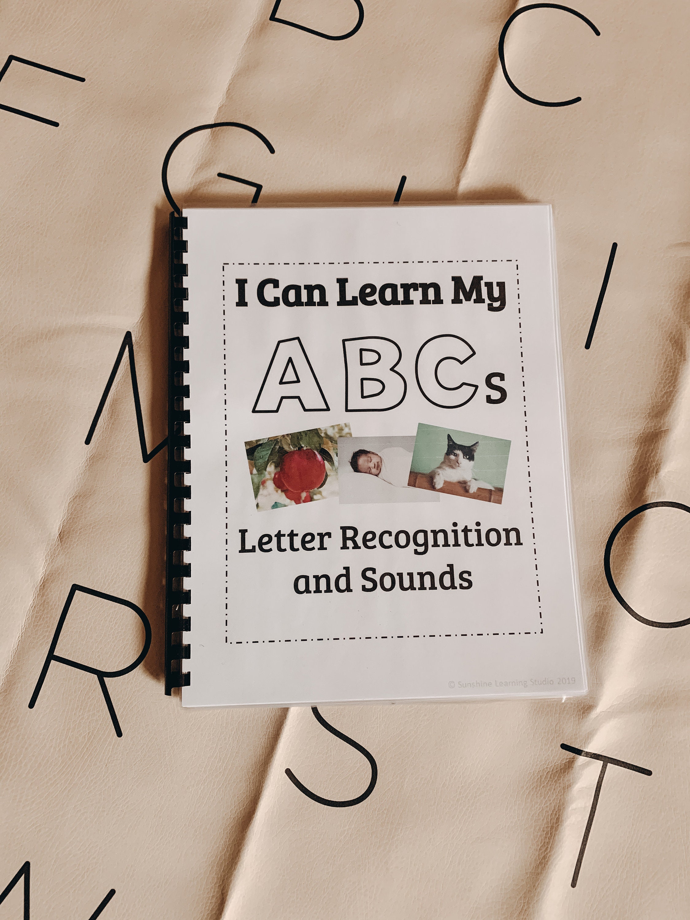 I Can Learn My Abcs- Letter Recognition and Sounds- Learning the ...