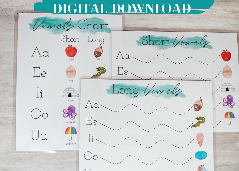 Vowel Chart Vowel Sounds Early Literacy Letter Sounds | Etsy
