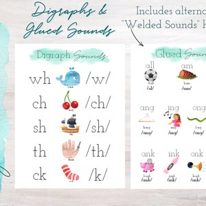 Digraph Anchor Chart, Digital Download Learning Charts, Glued and ...