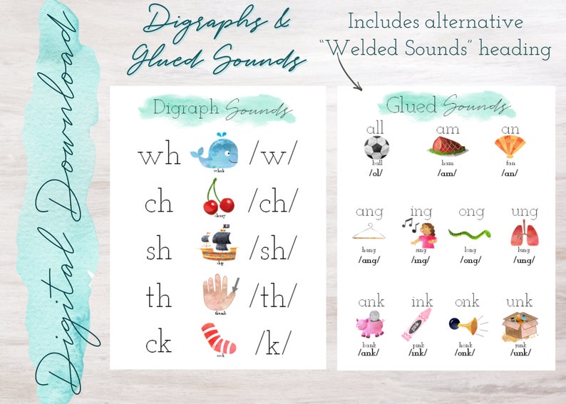 Digraph Anchor Chart, Digital Download Learning Charts, Glued and ...