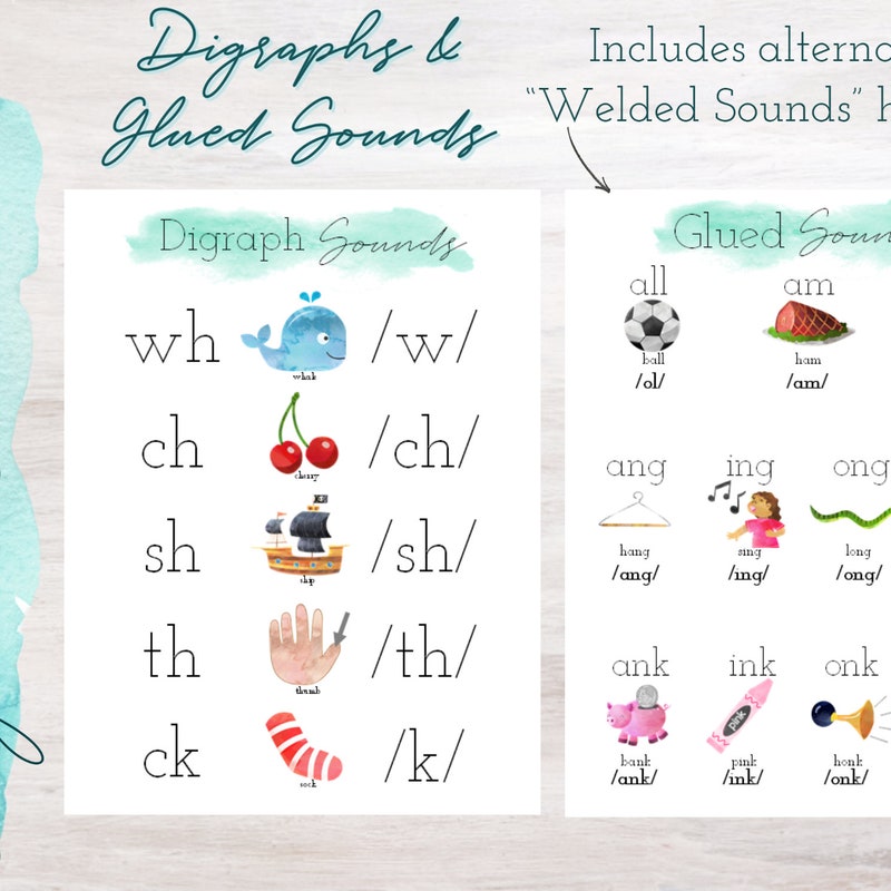 Phonics Poster - Etsy
