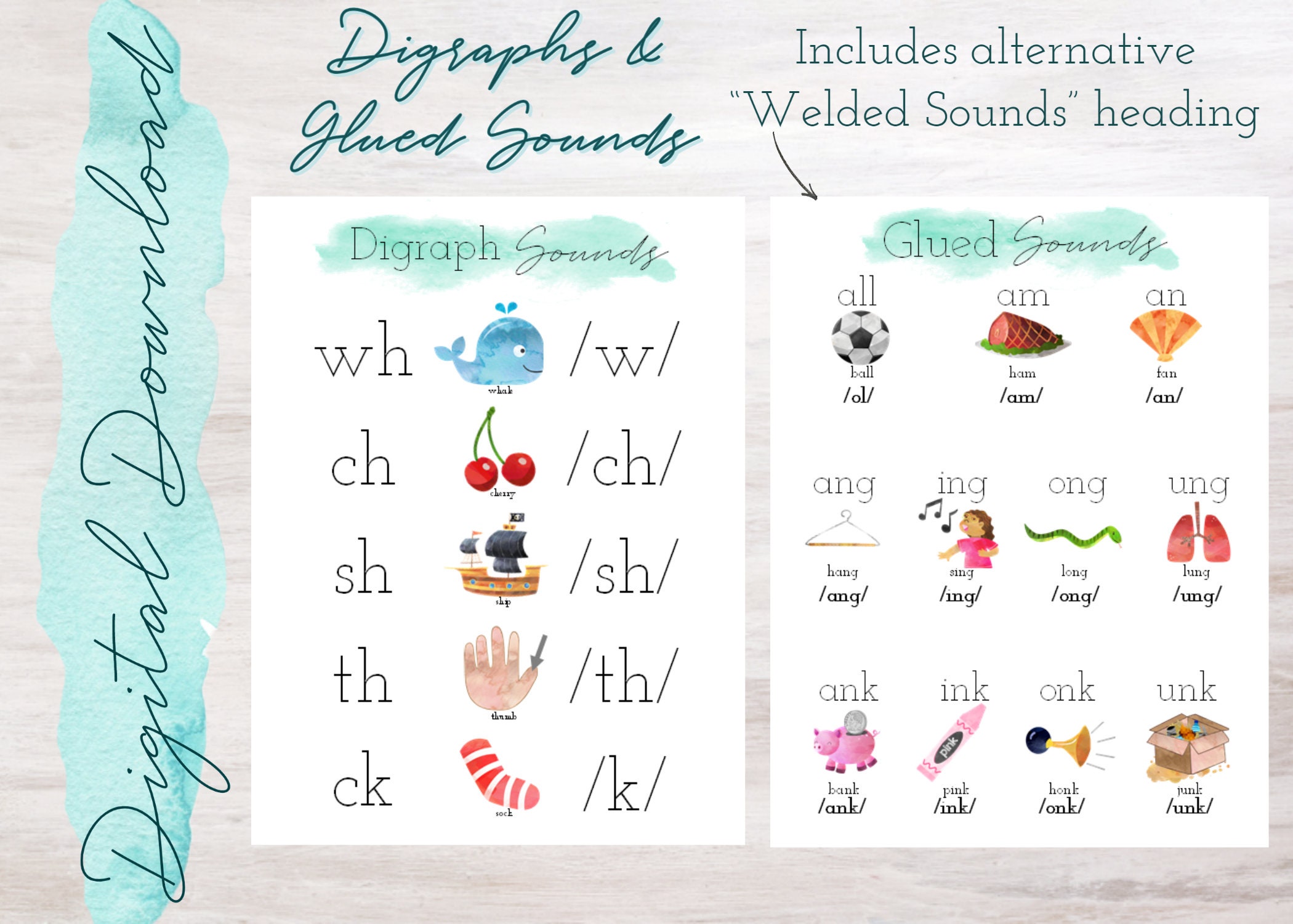 Digraph Anchor Chart Digital Download Learning Charts Glued - Etsy ...
