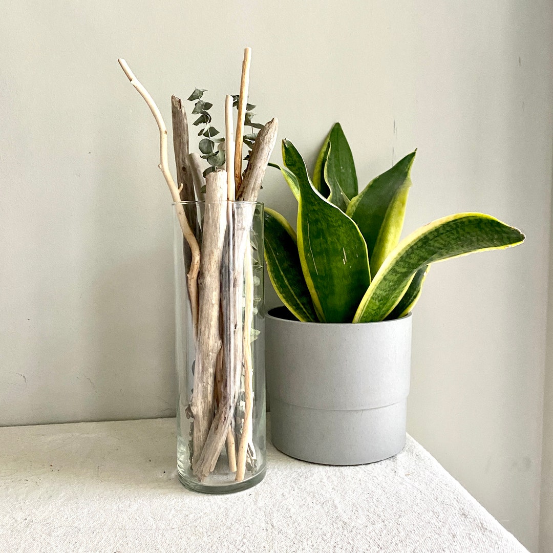 Driftwood Eucalyptus Arrangement in Vase | Driftwood Floral Bouquet ...