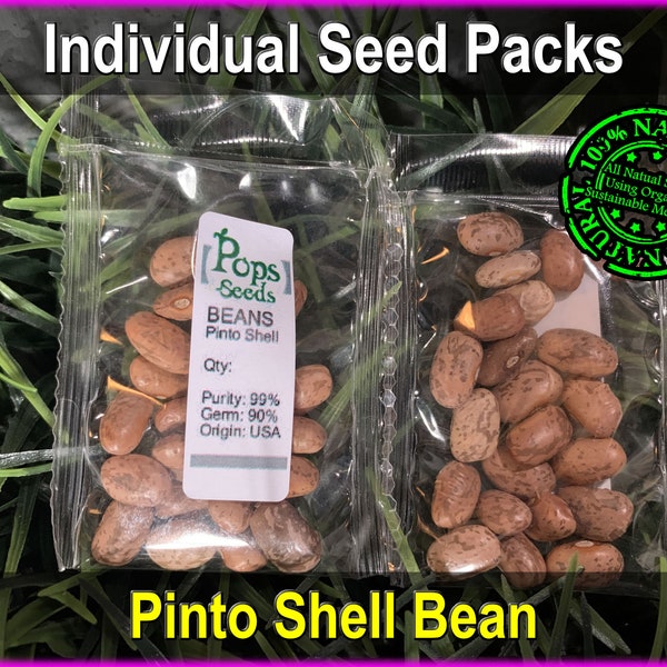 Pinto Beans - Etsy