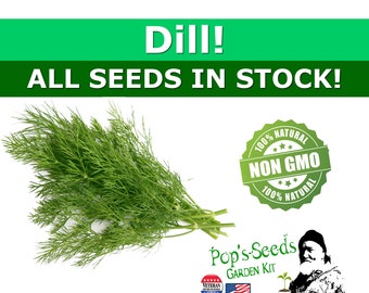 Dill Seeds Organic & Non Gmo Dill Seeds Heirloom Herb Seeds Fresh USA ...
