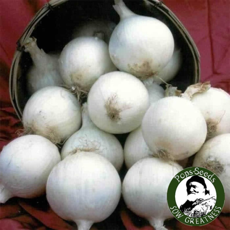 Heirloom Garden Salsa Kit Create Your Own Salsa Kit Non | Etsy