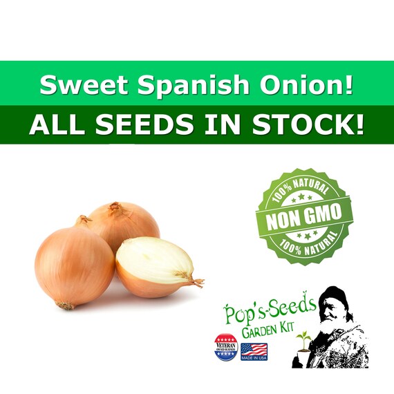 Heirloom Sweet Spanish Onion onion Vegetable Seed Packs | Etsy