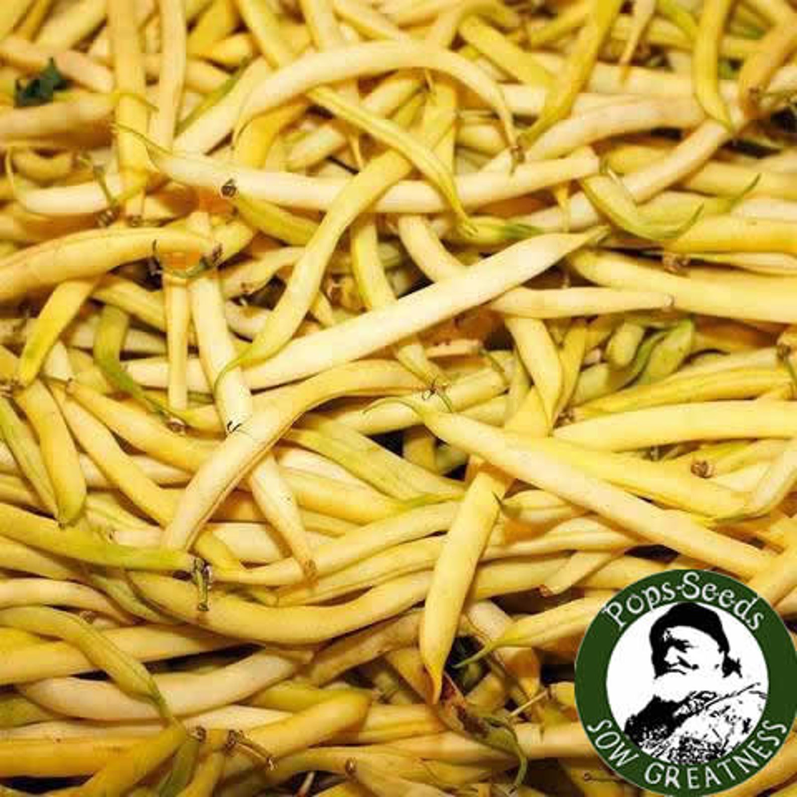 5 Heirloom Bean Seeds Green Beans Black Beans Pole Beans | Etsy