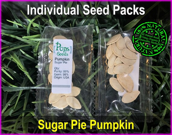 Heirloom Sugar Pie Pumpkin Seed Packs Pumpkin Pie Seeds | Etsy
