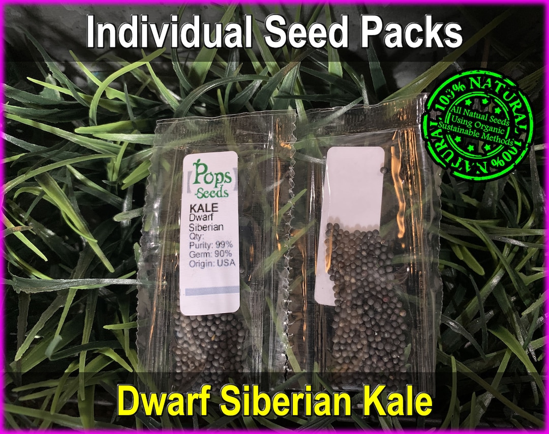 Heirloom Siberian Kale Seeds Kale Seeds Non Gmo Kale Microgreen Seeds ...