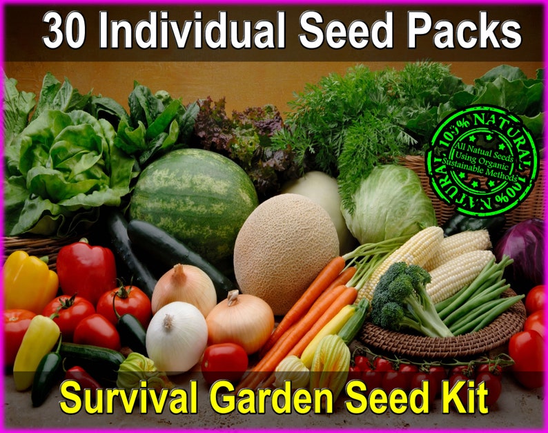 Vegetable Seeds Non-gmo Heirloom Vegetable Seed Pack - Etsy