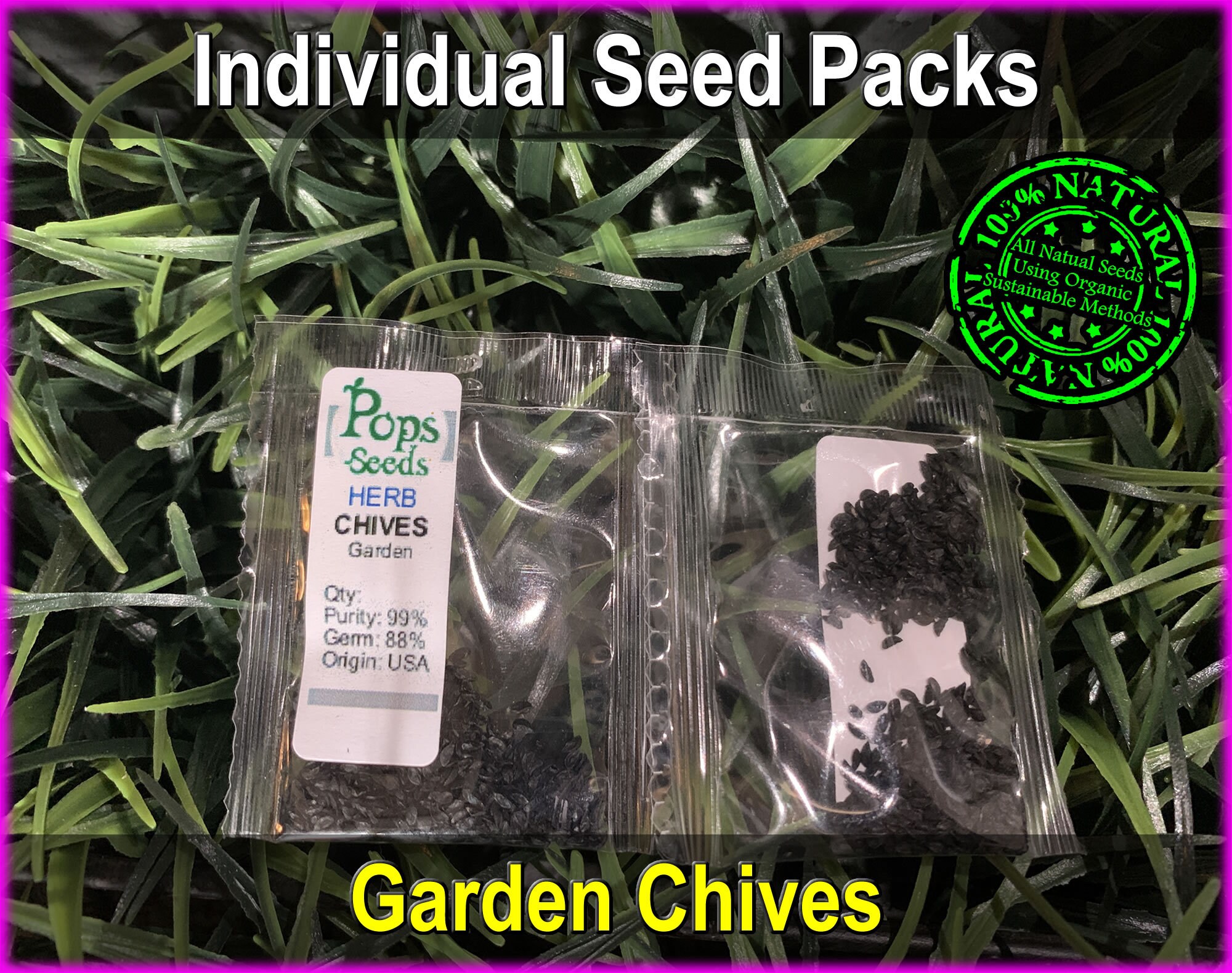 Heirloom Chives Herb Seed Packs Organic Herb Chives Seeds - Etsy España