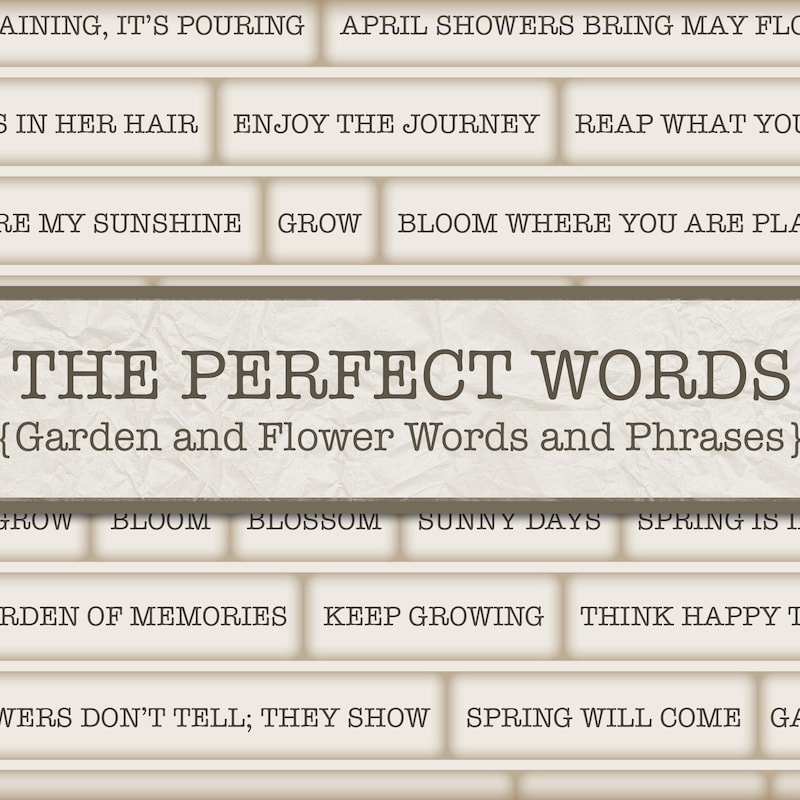 Florals With Words - Etsy UK